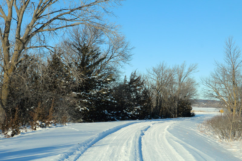 Gavin's Point Dam Area - Forested Bluff
