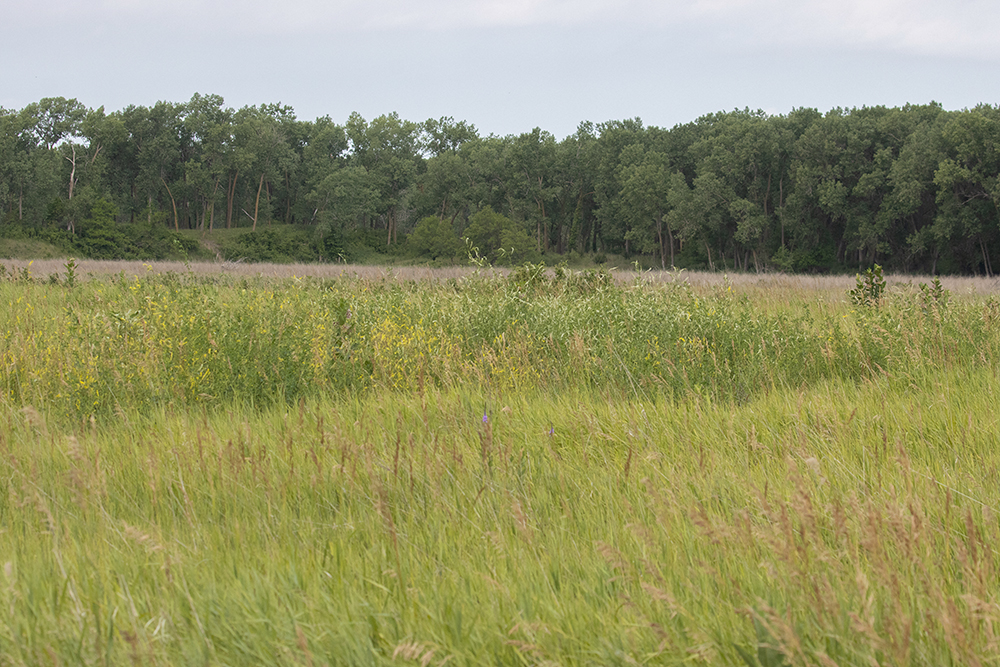 North Alabama Bend - Point 2 - Prairie Loops