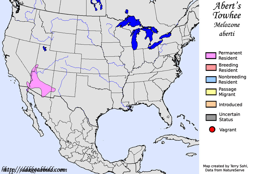 Abert's Towhee - Species Range Map