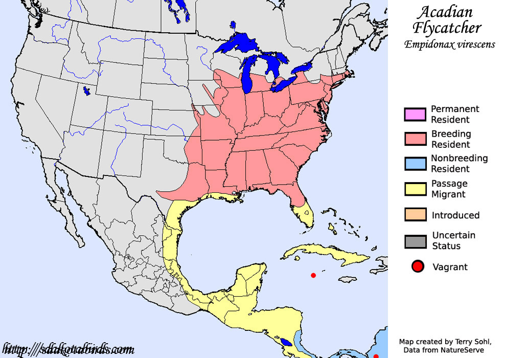 Acadian Flycatcher - Species Range Map