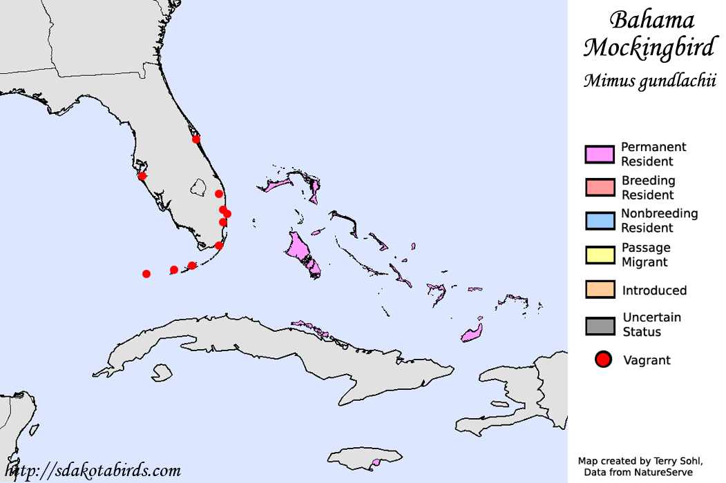Bahama Mockingbird - Species Range Map