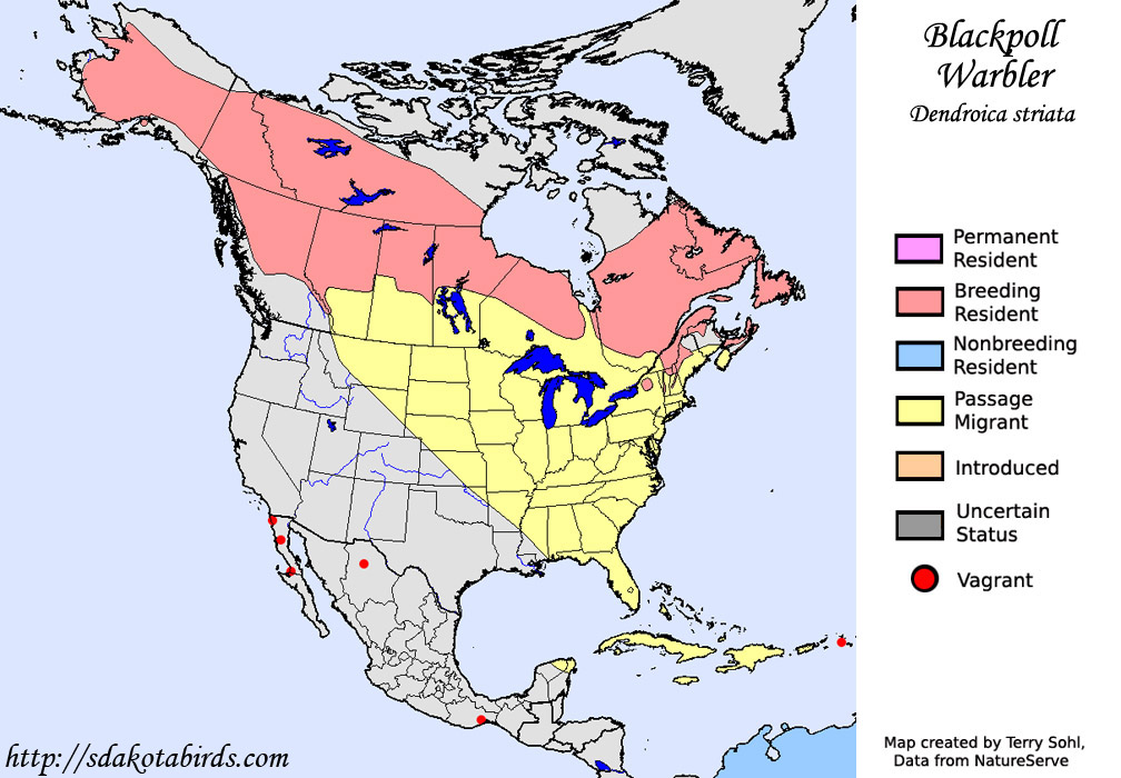 Blackpoll Warbler Migration Map
