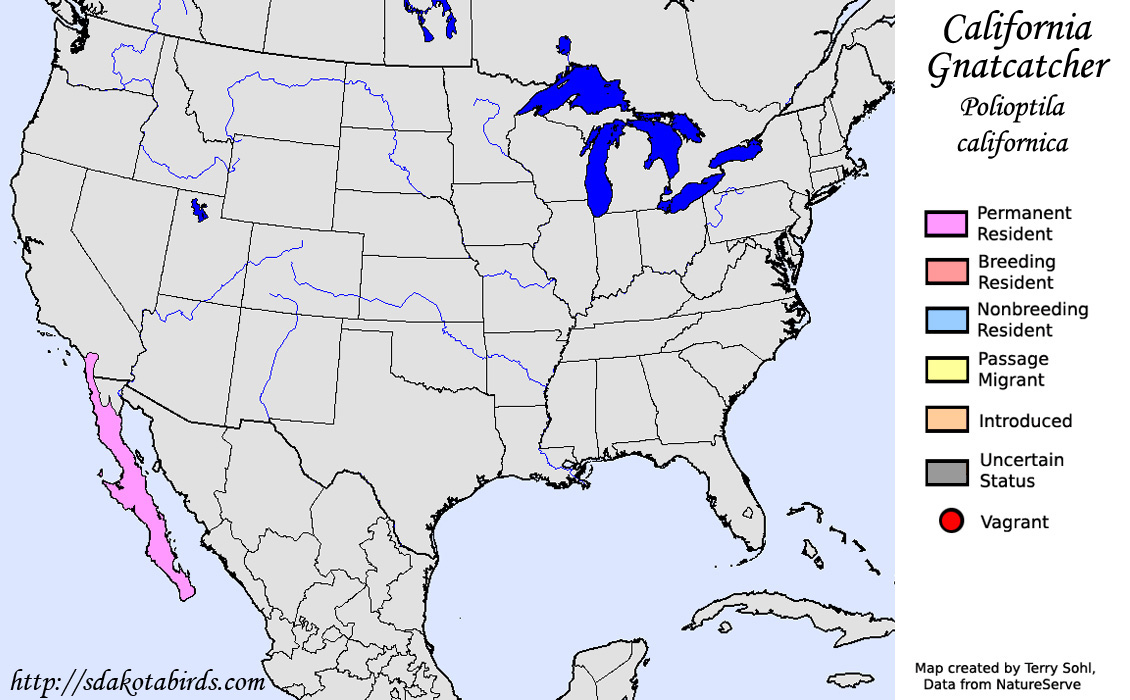 California Gnatcatcher - Species Range Map