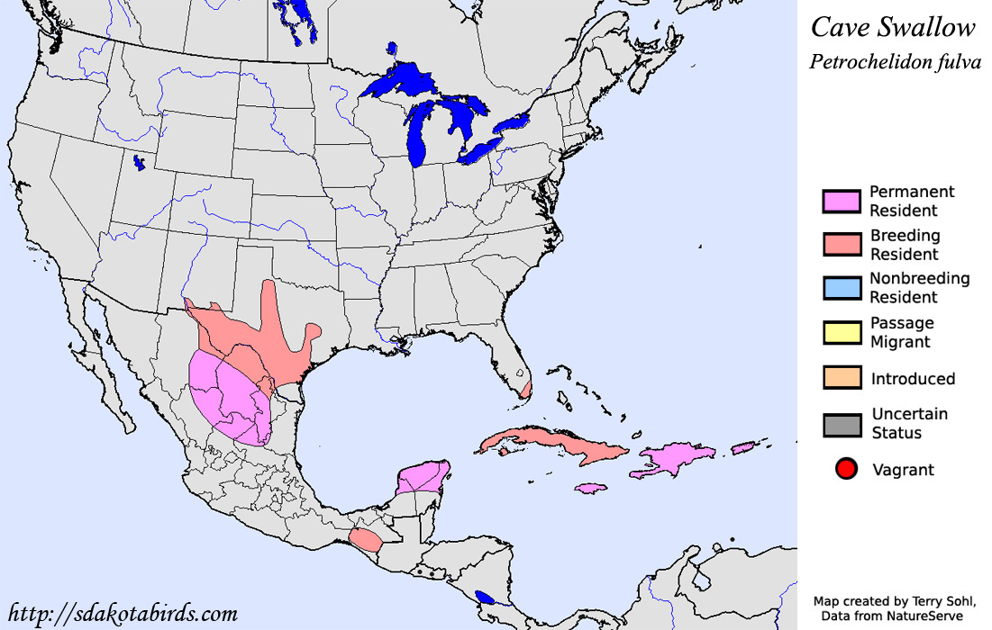 Cave Of Swallows Map