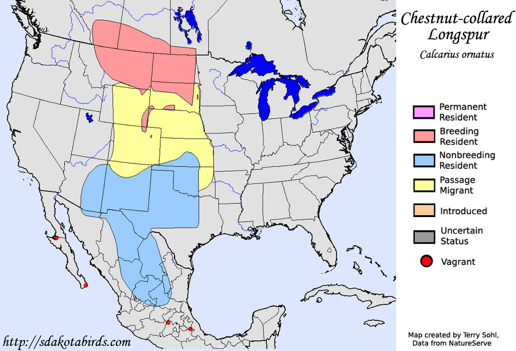 Chestnut-collared Longspur - Species Range Map