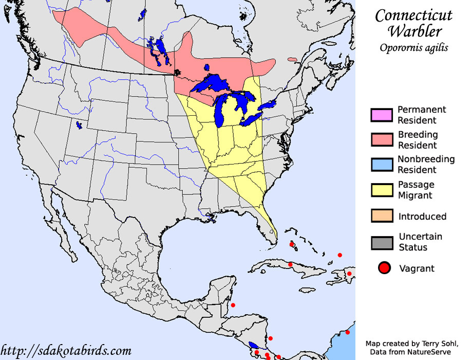 Connecticut Warbler - Species Range Map