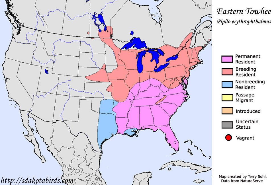 Eastern Towhee - Species Range Map