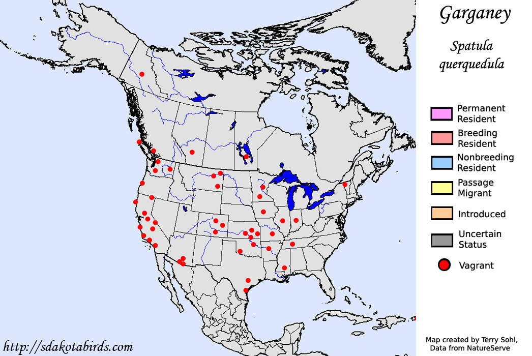 Garganey - Species Range Map