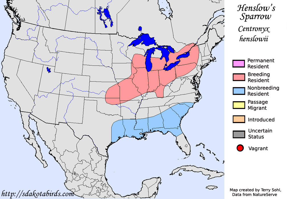 Henslow's Sparrow - Species Range Map
