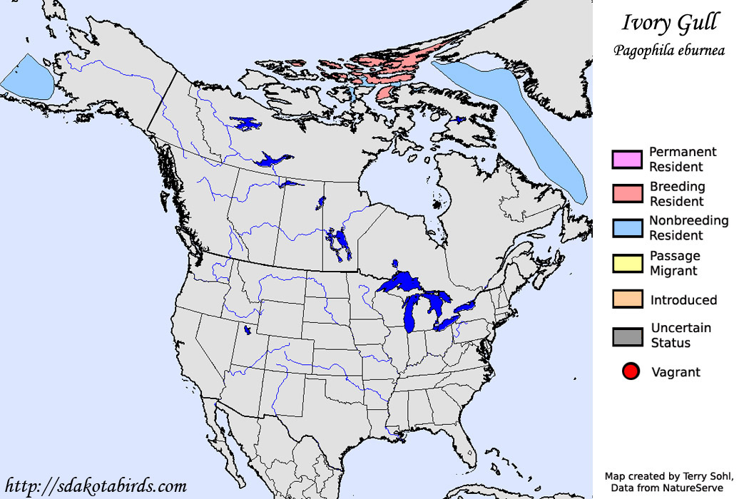 Ivory Gull - Species Range Map