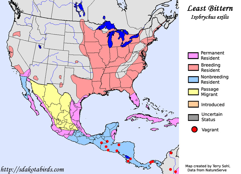 Least Bittern - Species Range Map
