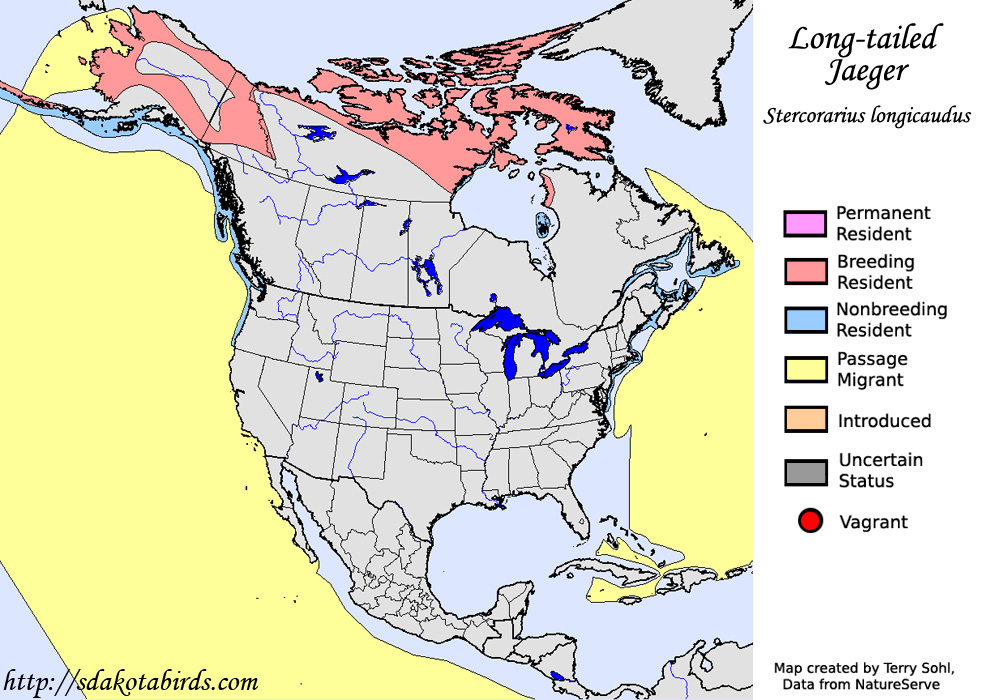 Long-tailed Jaeger - Species Range Map