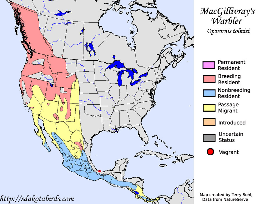 MacGillivray's Warbler - Species Range Map
