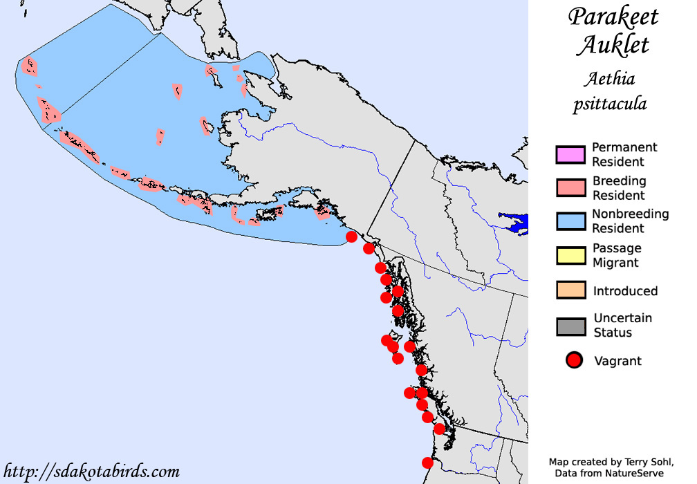 Parakeet Auklet - Species Range Map
