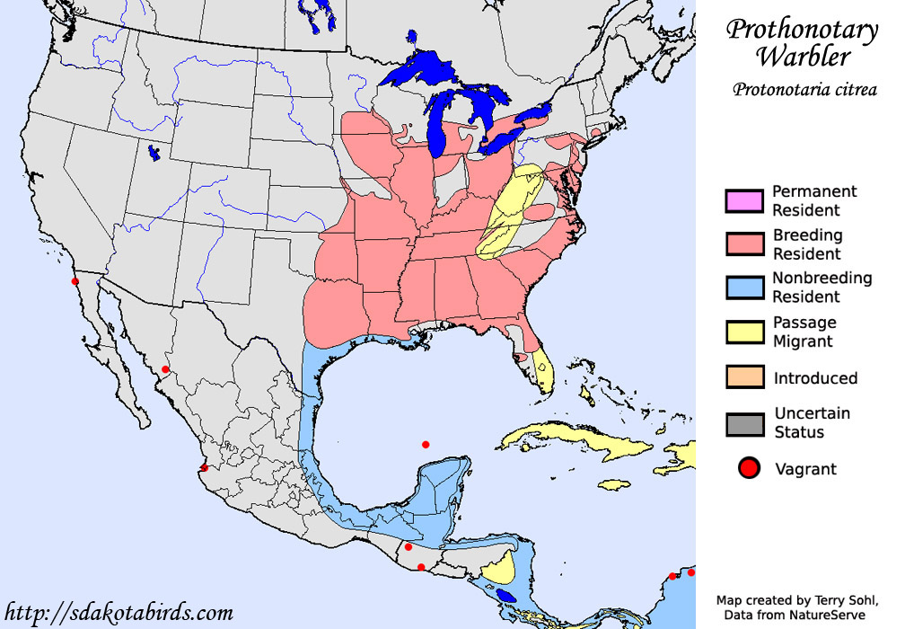 Prothonotary Warbler - Species Range Map