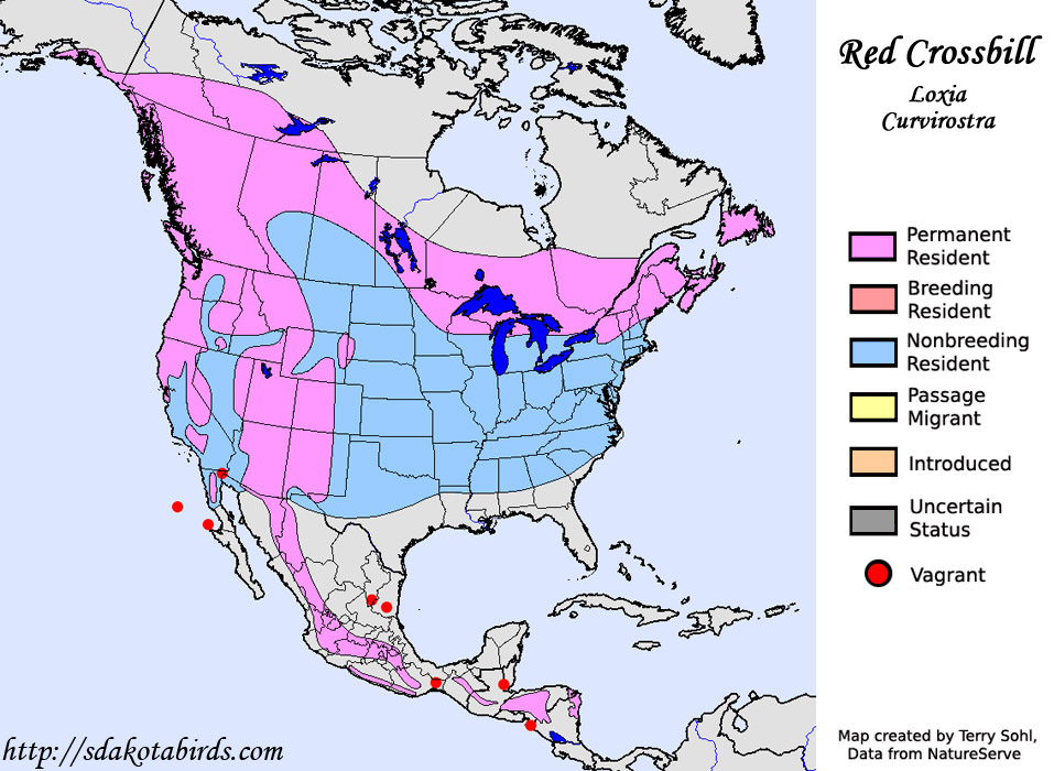 Red Crossbill - Species Range Map