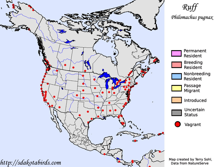 Ruff - Species Range Map