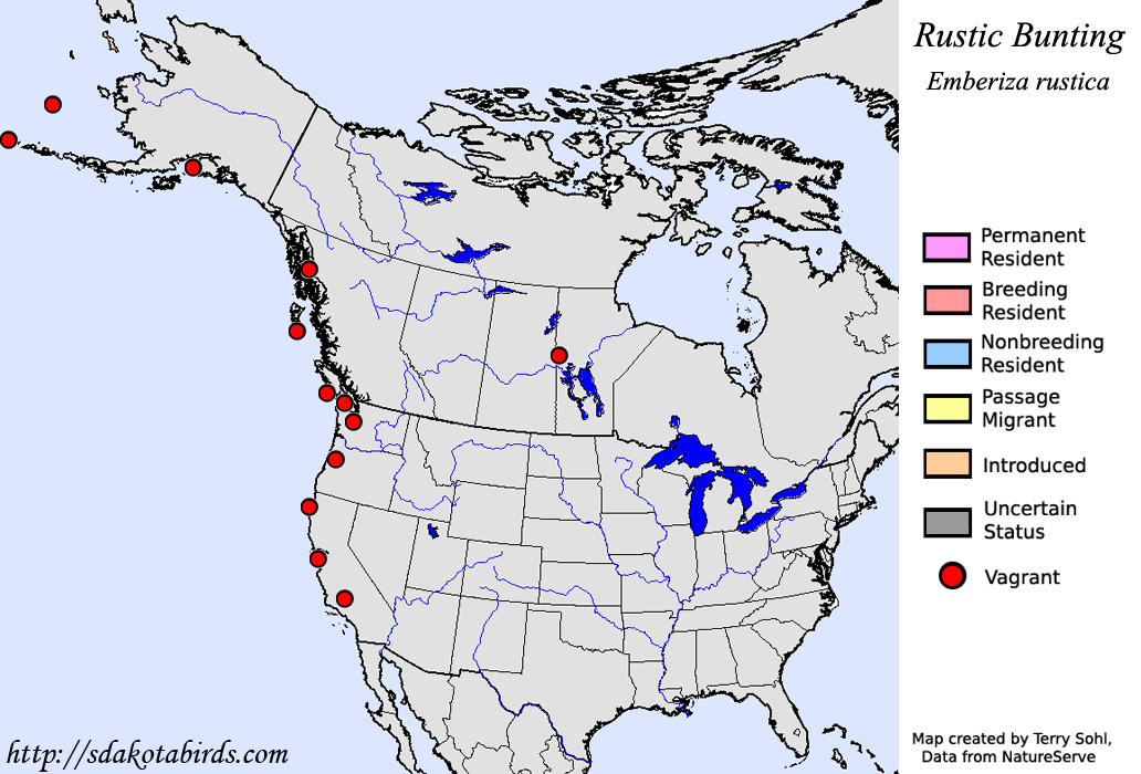 Rustic Bunting - Species Range Map