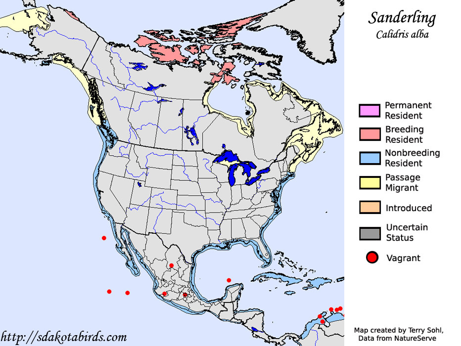 Sanderling - Species Range Map