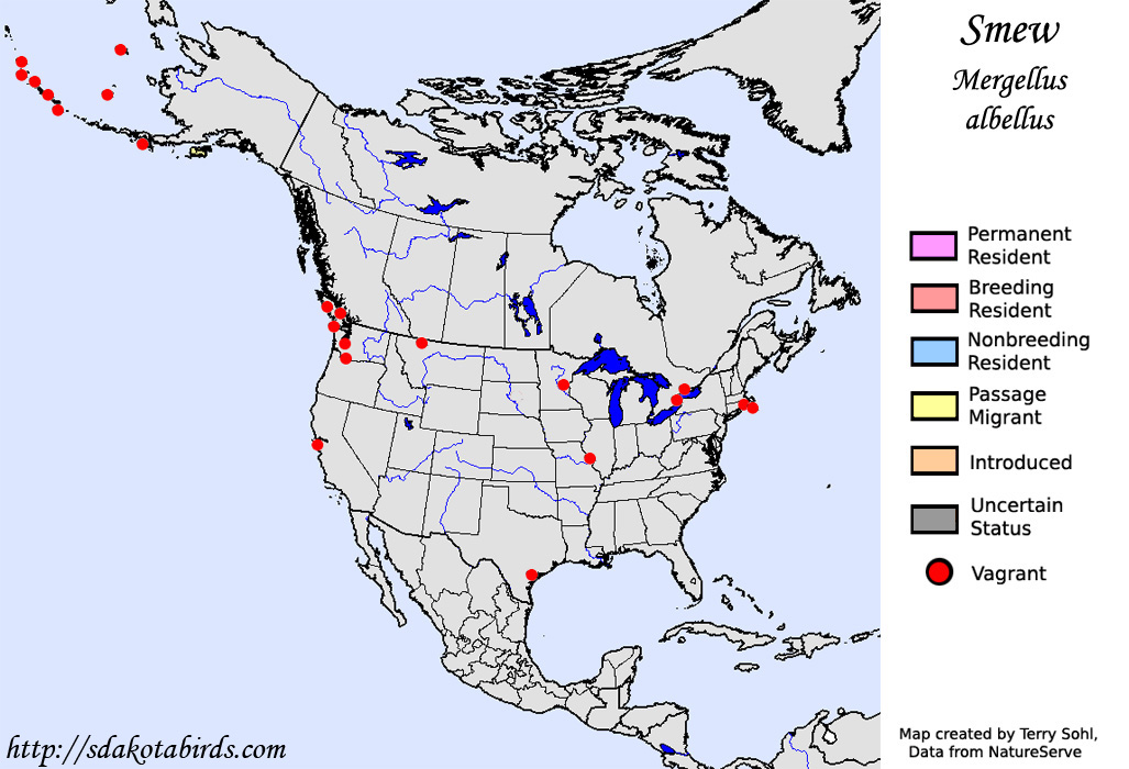 Smew - Species Range Map