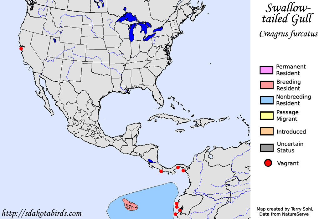Swallow-tailed Gull - Species Range Map