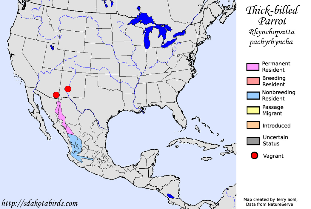 Thick-billed Parrot - Species Range Map