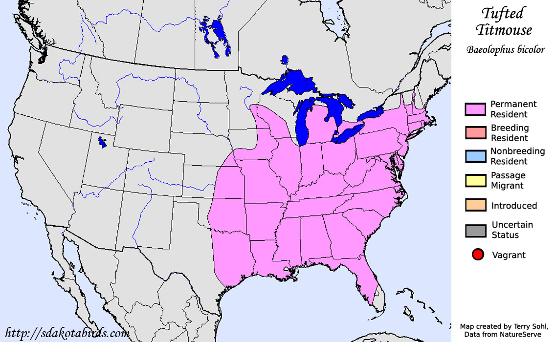 Tufted Titmouse - Species Range Map