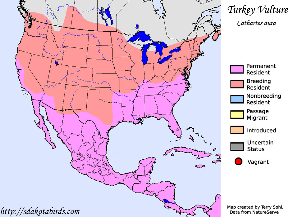 Turkey Vulture - Species Range Map