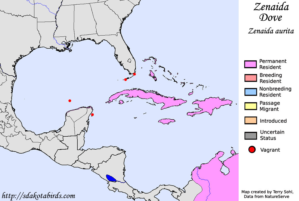 Zenaida Dove - Species Range Map